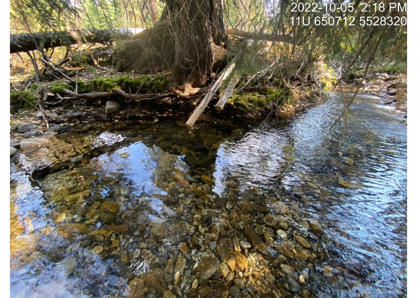 4 Results | Elk River Watershed Group Fish Passage Restoration Planning 2022